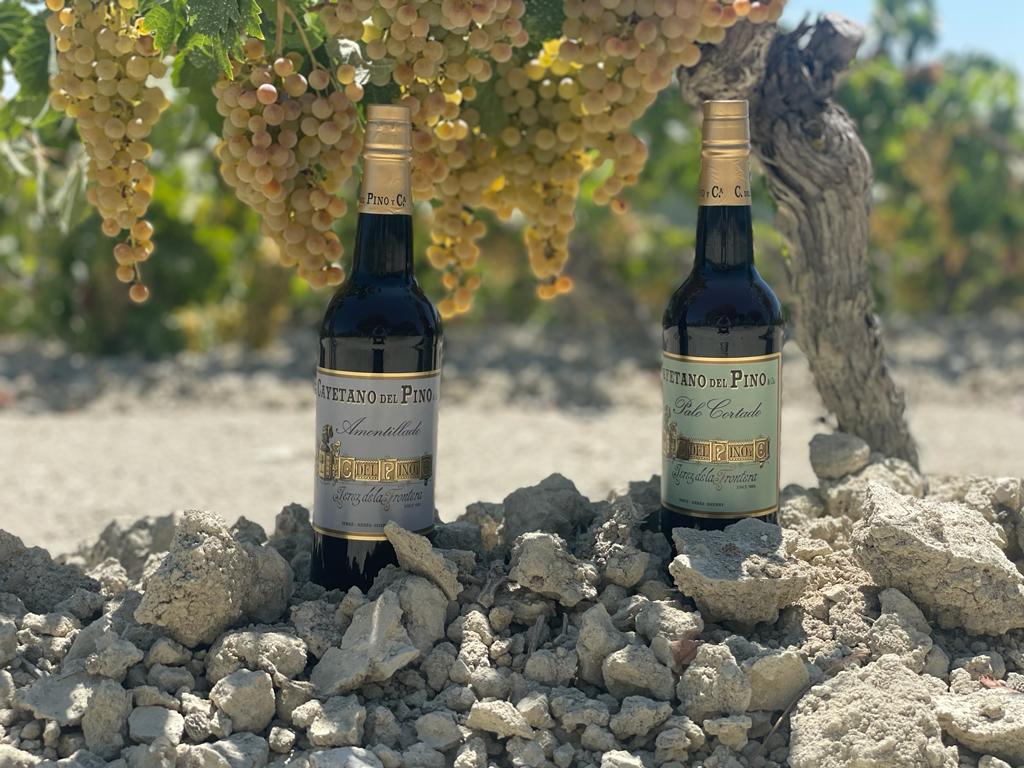 La grandeza de la tierra albariza en el Marco de Jerez - Curiosidades ...